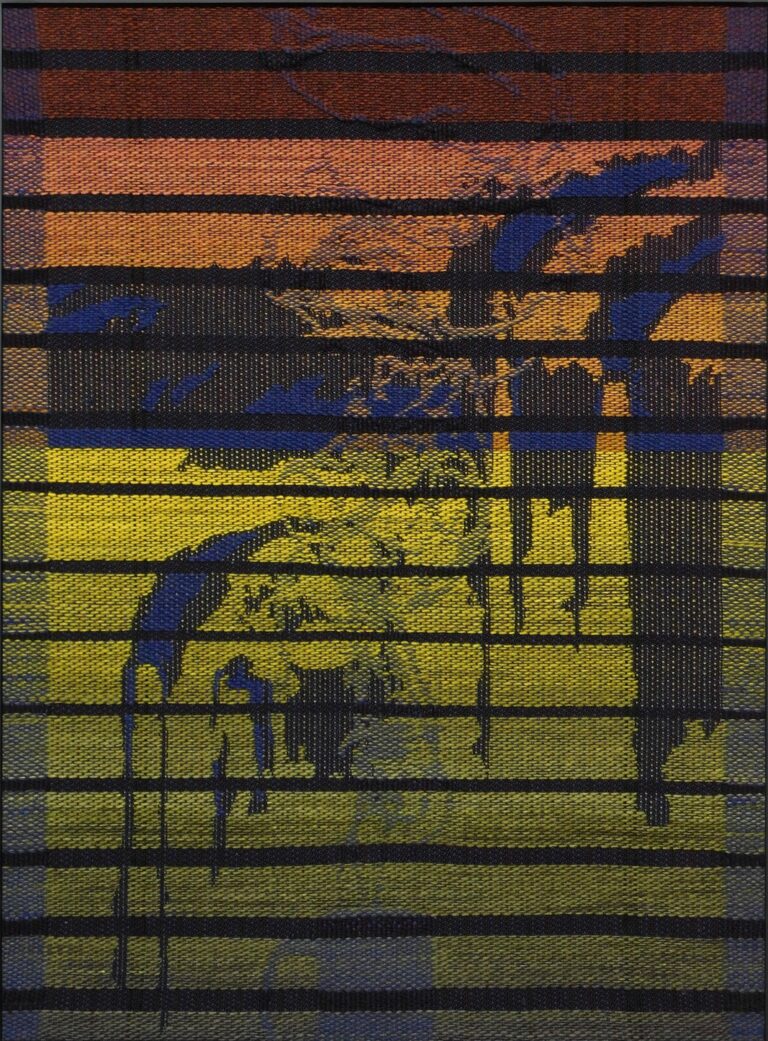 Debbie Silver shares her news - Cuyahoga Weavers Guild